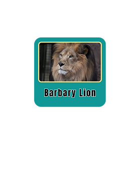 WALK-THRU | Keystone Safari